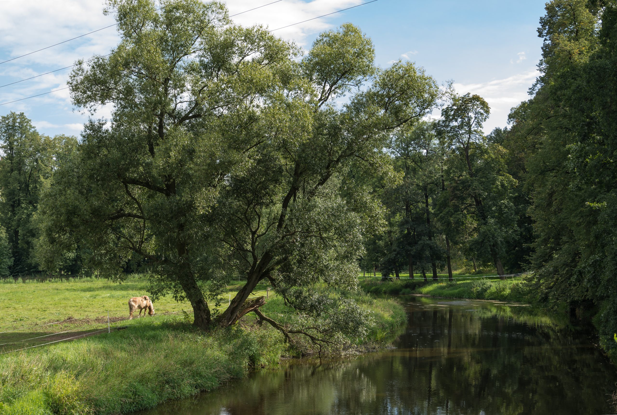 Rzeka Bóbr - Dolny Śląsk Travel
